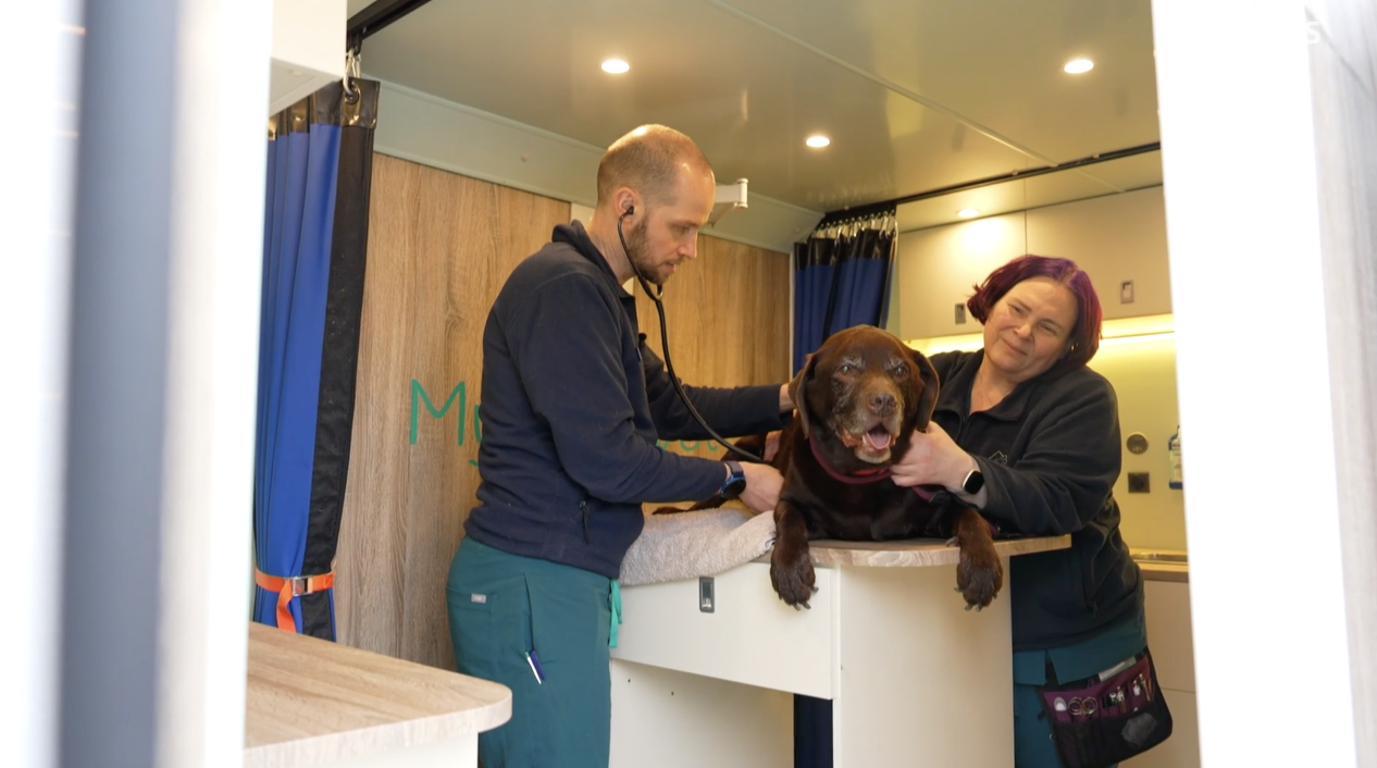 ITV News : The Latest Cats News