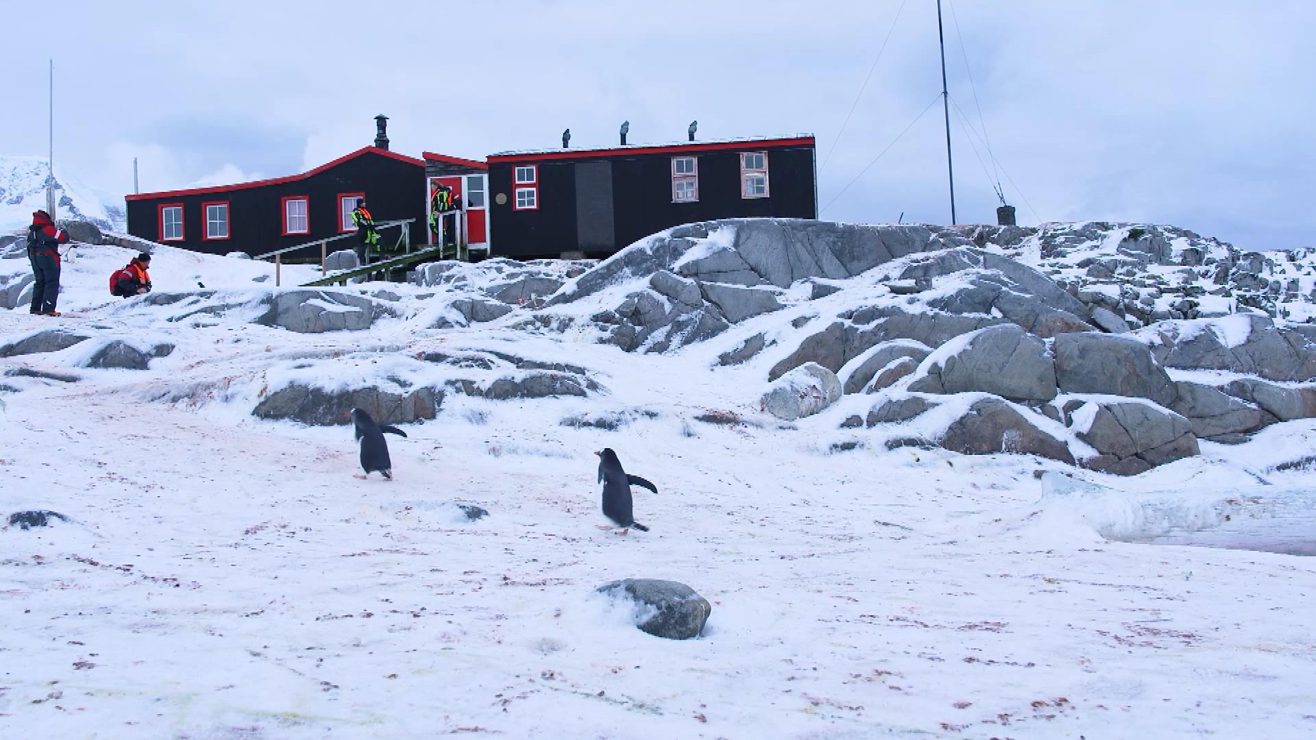Port Lockroy: Inside the most remote museum in the world | ITV News