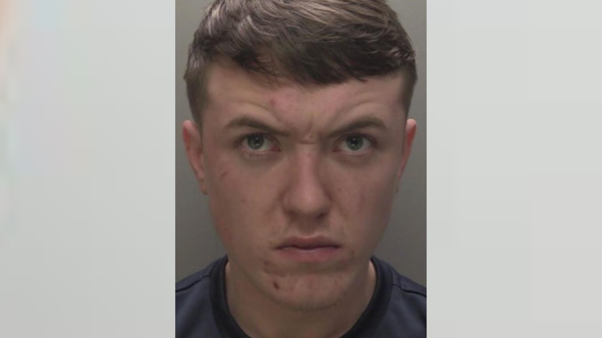 Hull teen attacked police dog with shovel before assaulting officer ...