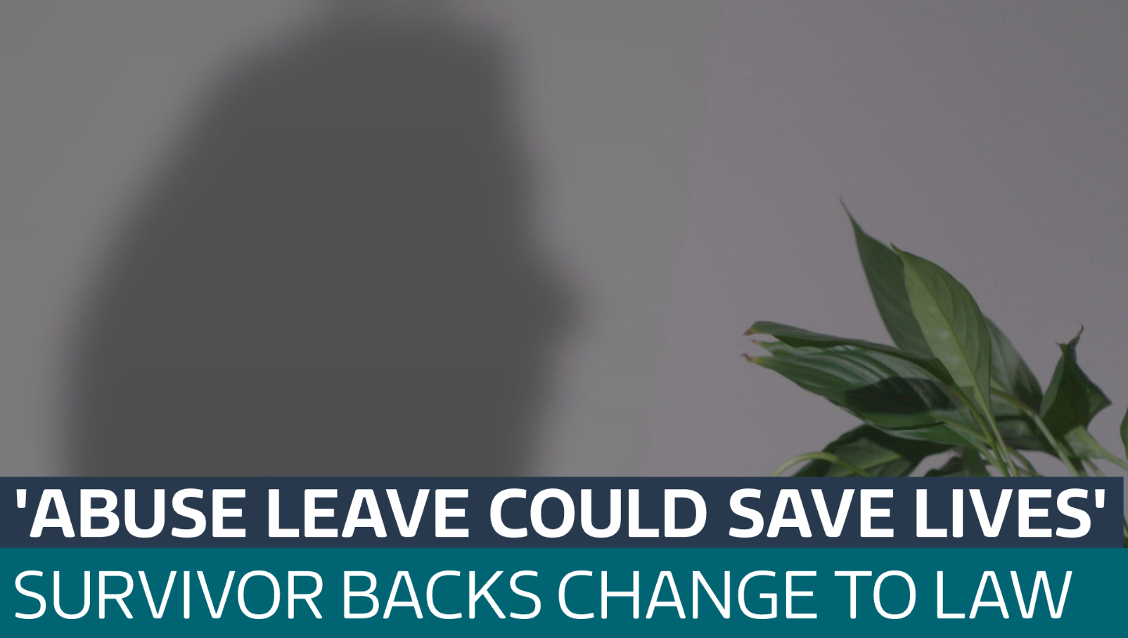 Law change to allow domestic abuse victims paid time off could help ...