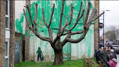 Artist Banksy confirms London tree mural is his work - Latest From ITV News