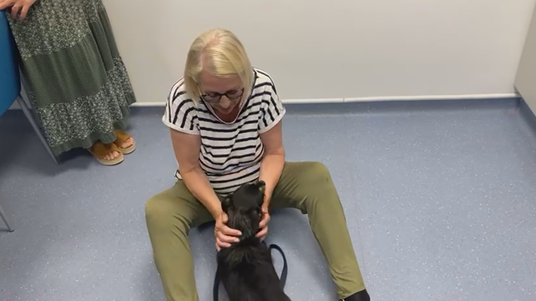 The adorable moment a dog is reunited with its owner three weeks after ...