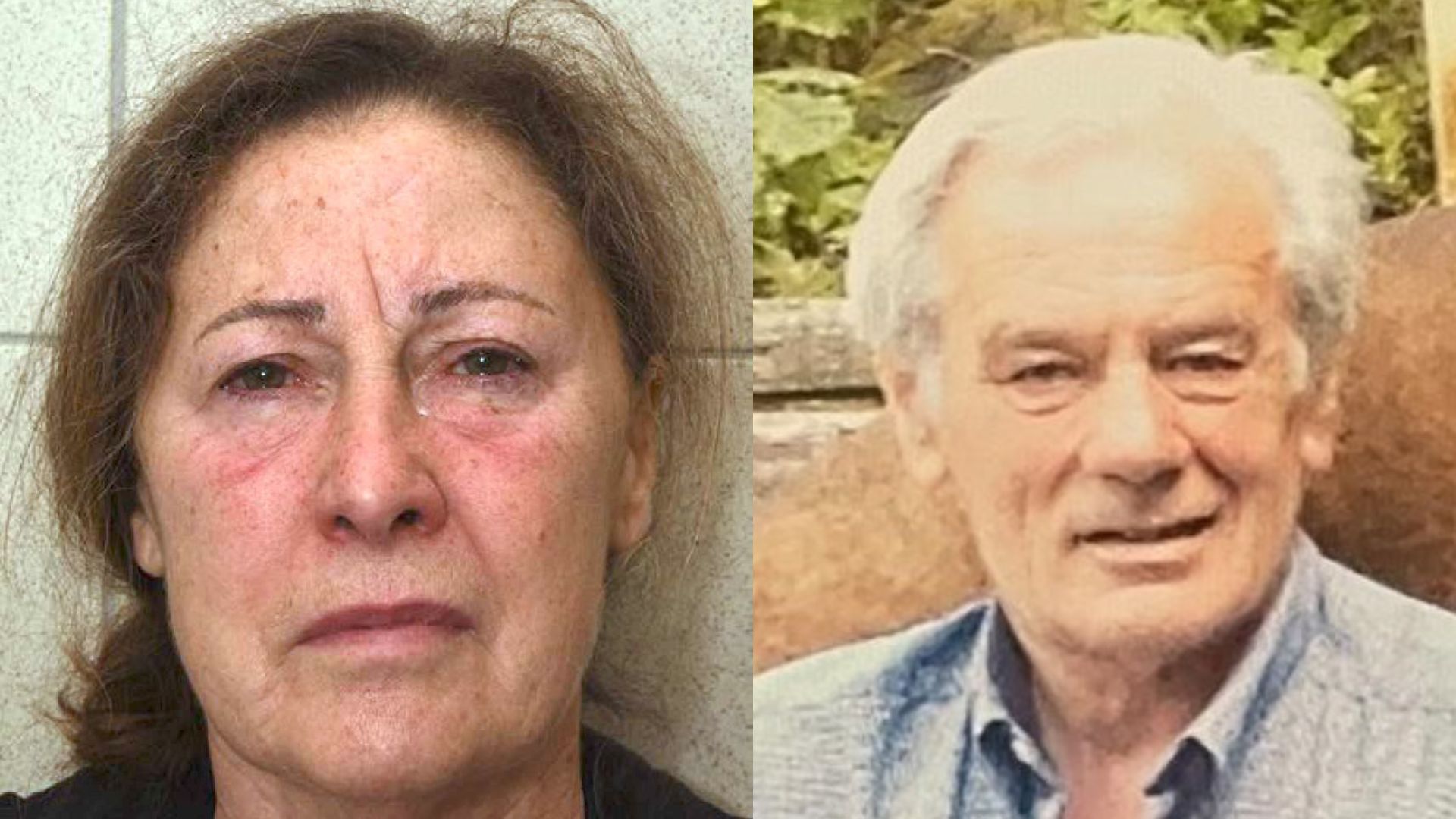 Devon murder trial couple called the police on each other repeatedly ...