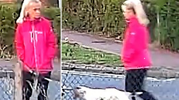 Images released of Brantham attempted murder victim as family make ...