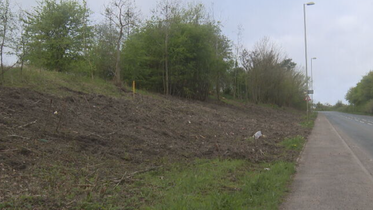 Wildlife campaigners say plans to extend bus lane in Oxfordshire will ...