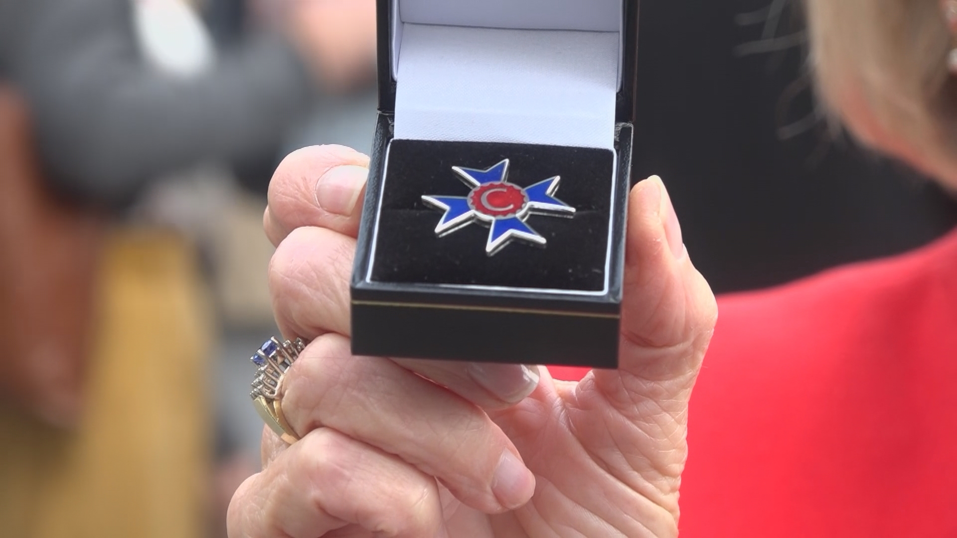 Hampshire hospice workers awarded 'Covid Star' medals for care during ...