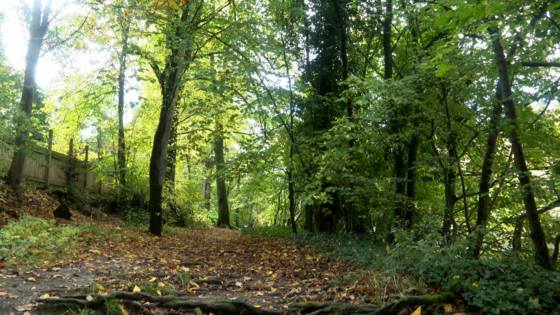 ITV Border Cumbria Police news for the Scottish Borders & Northumberland