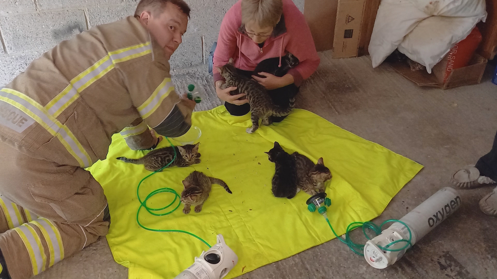 Firefighters rescue and resuscitate kittens after fire breaks out at ...