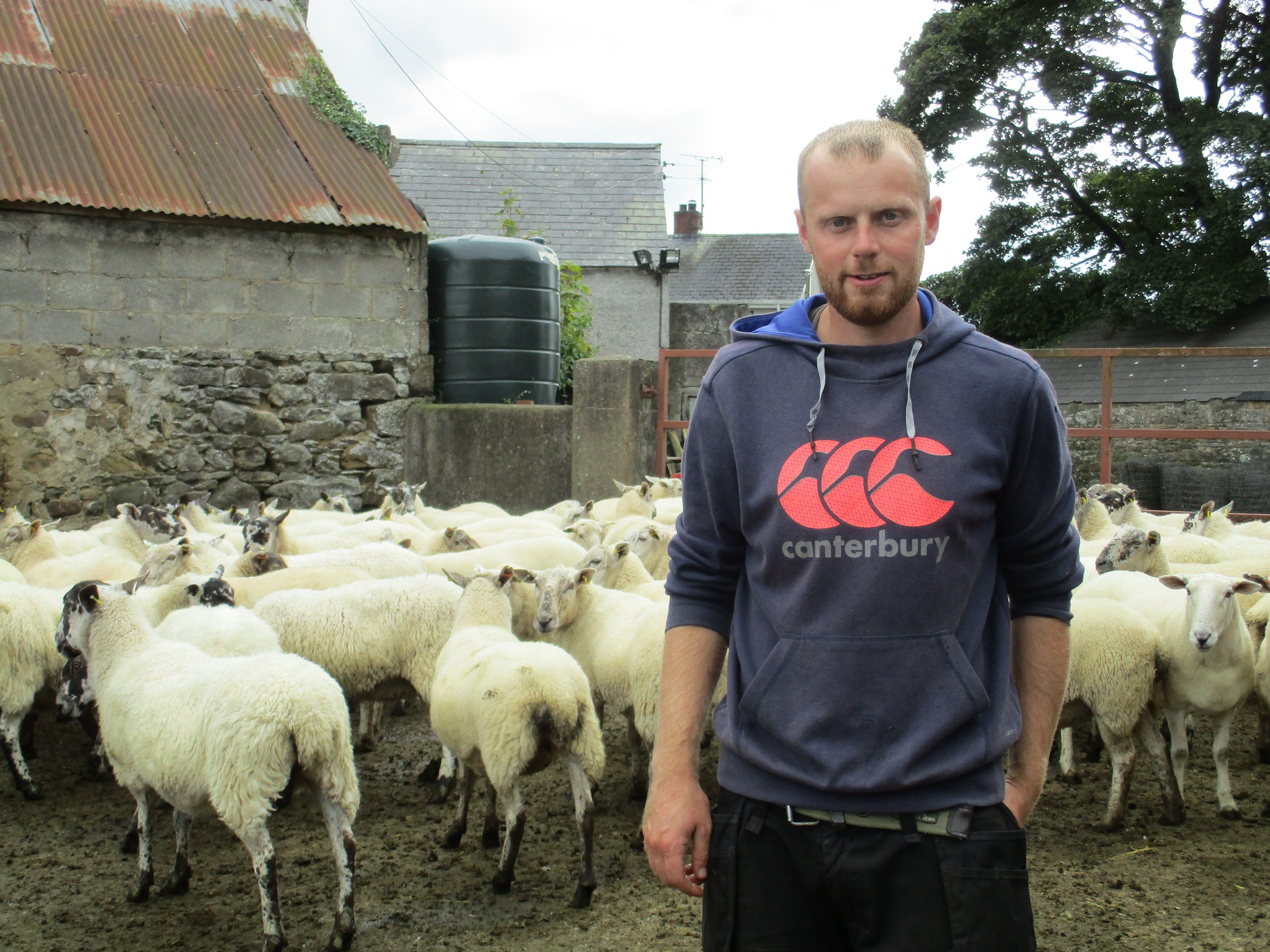 Autumn brings a busy time for the farmers on Rare Breed - A Farming ...