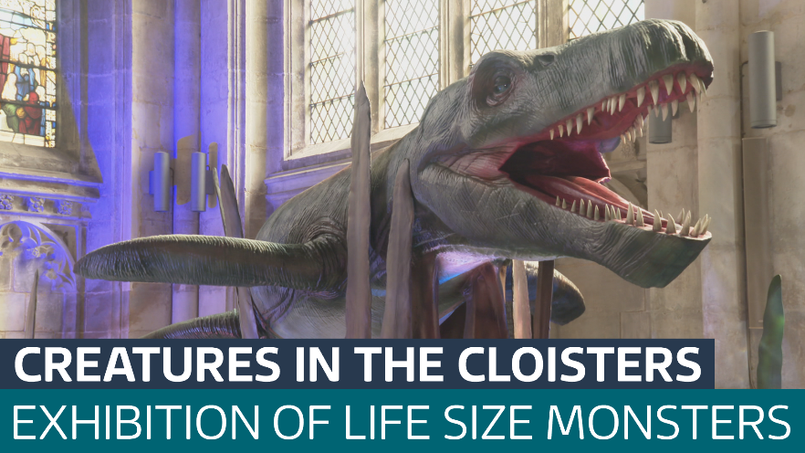 Creatures from millions of years ago on display in Cathedral - Latest ...