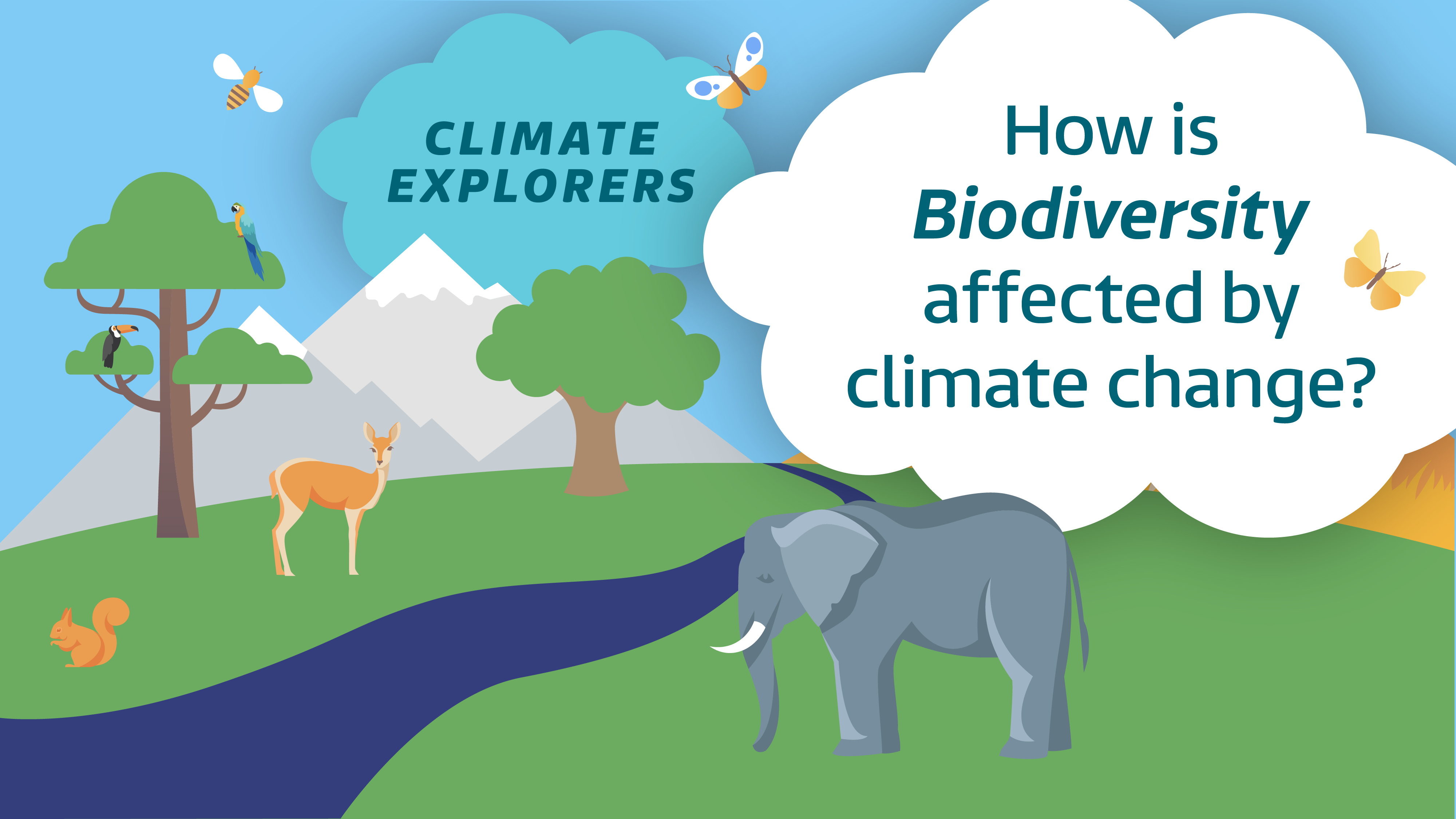 How is biodiversity affected by climate change? | ITV News