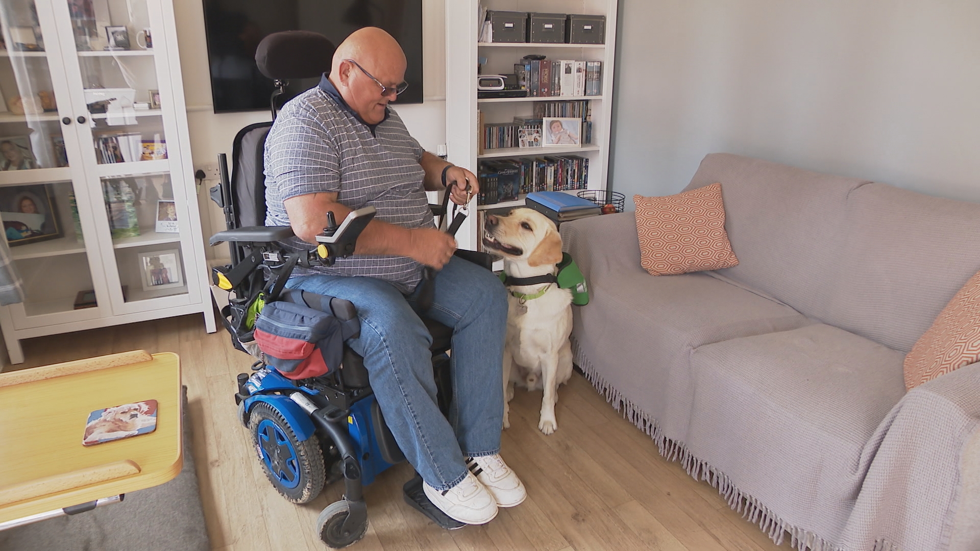 The assistance dogs helping their owners through the lows of lockdown ...
