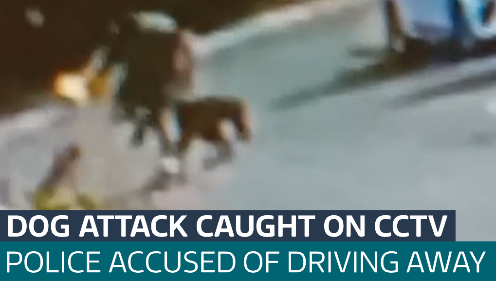 'They could have easily helped me' - Man injured in dog attack claims ...