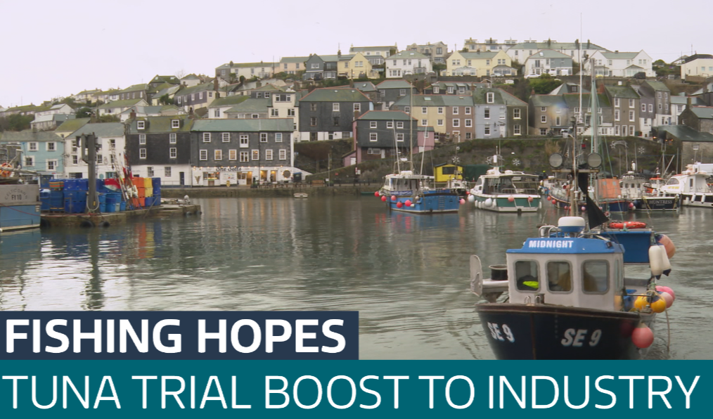 Fishing trial gives hope to industry in Devon and Cornwall - Latest ...
