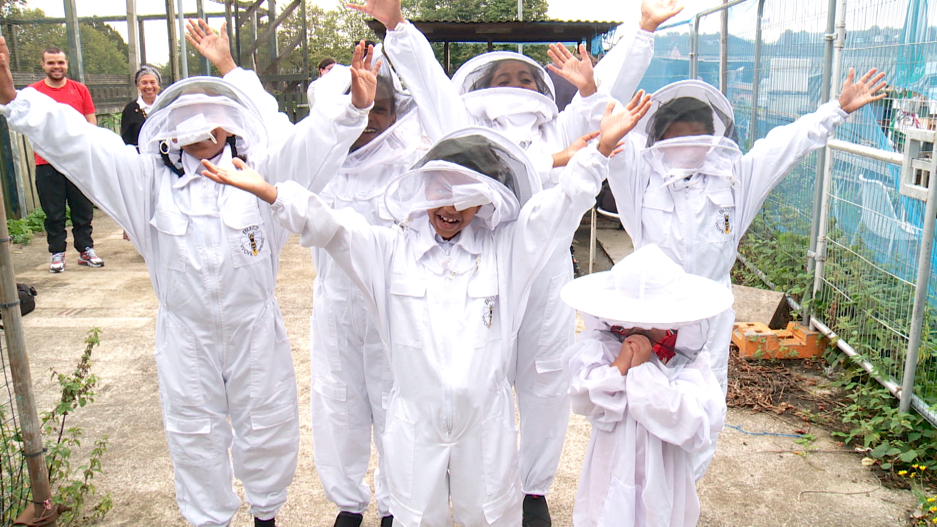 They're all buzzing about bees in Toxteth | ITV News Granada