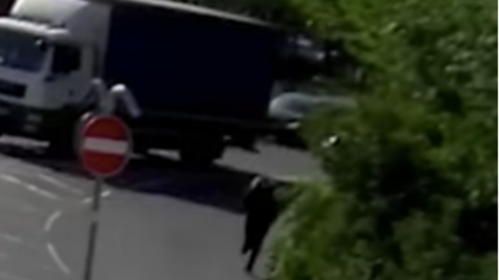 Sex Attacker Caught On Cctv Running Through Rush Hour Traffic In Leeds