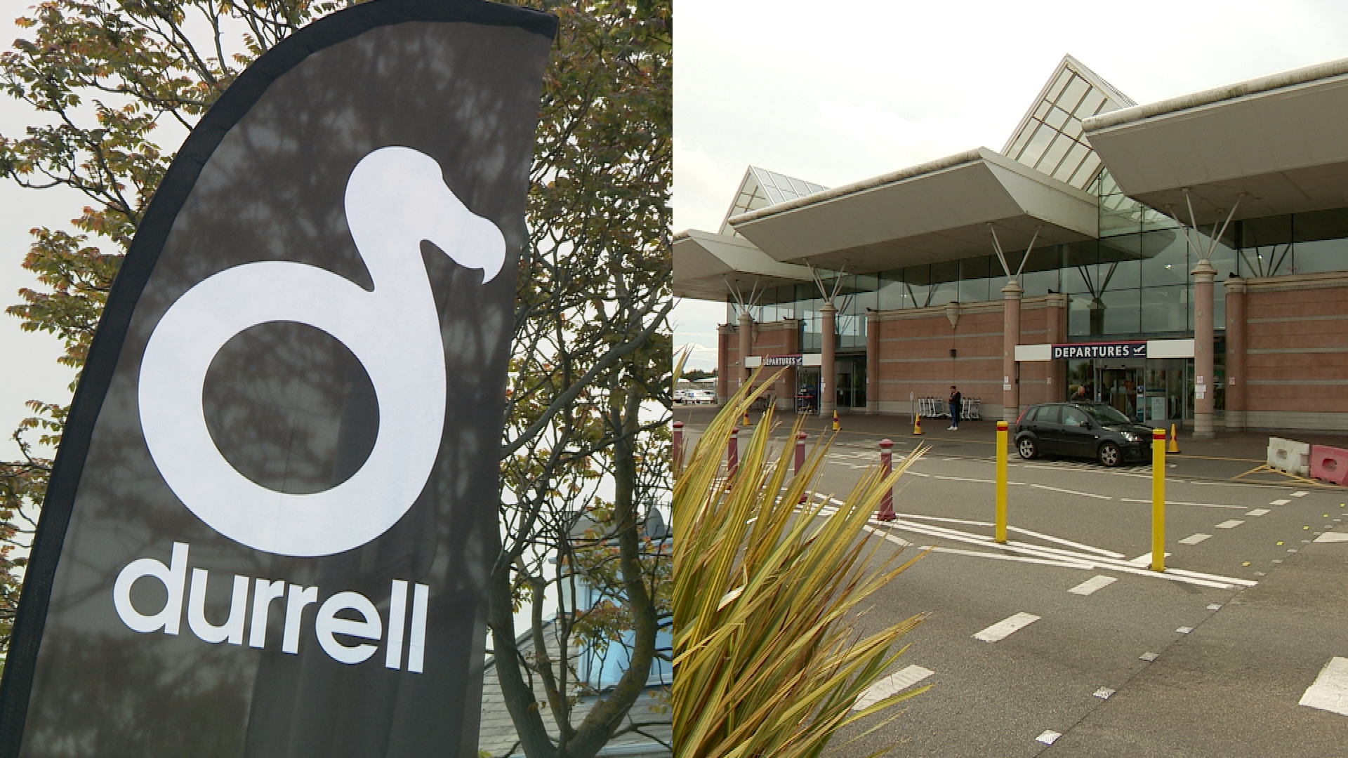Jersey airport to welcome Durrell shop in departures | ITV News Channel