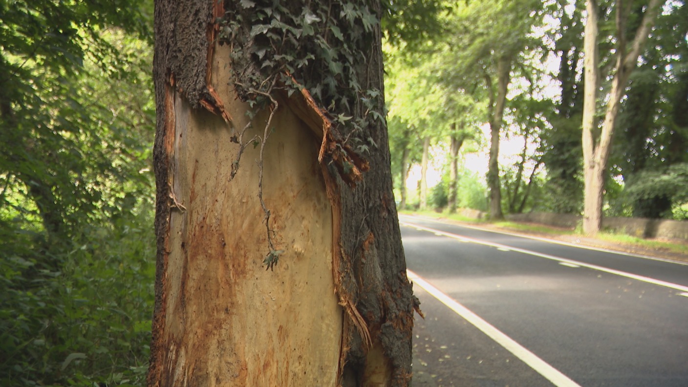 Two left seriously injured after car crashes into tree | ITV News Calendar