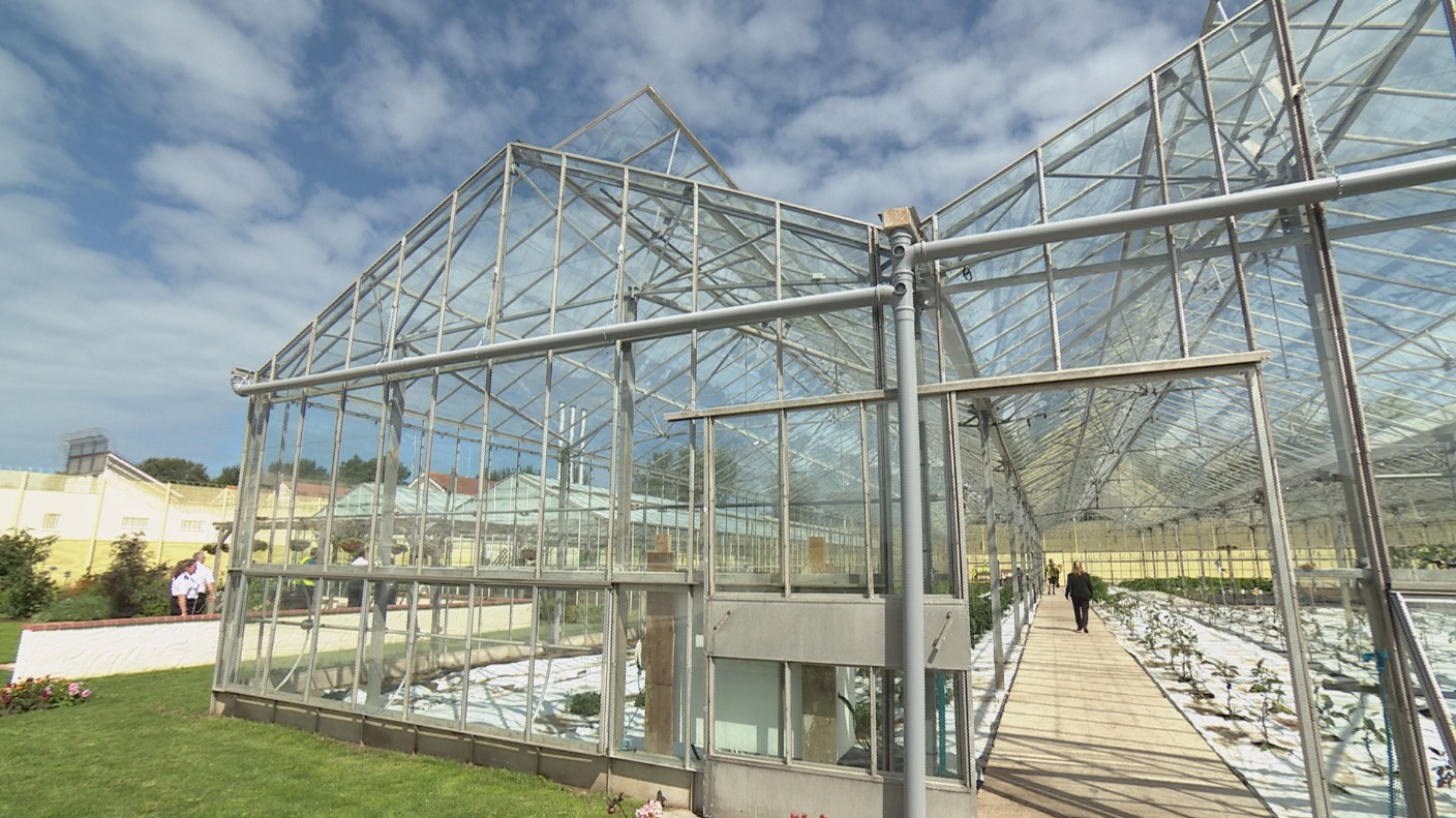 Prison produce could be sold to Guernsey public | ITV News Channel