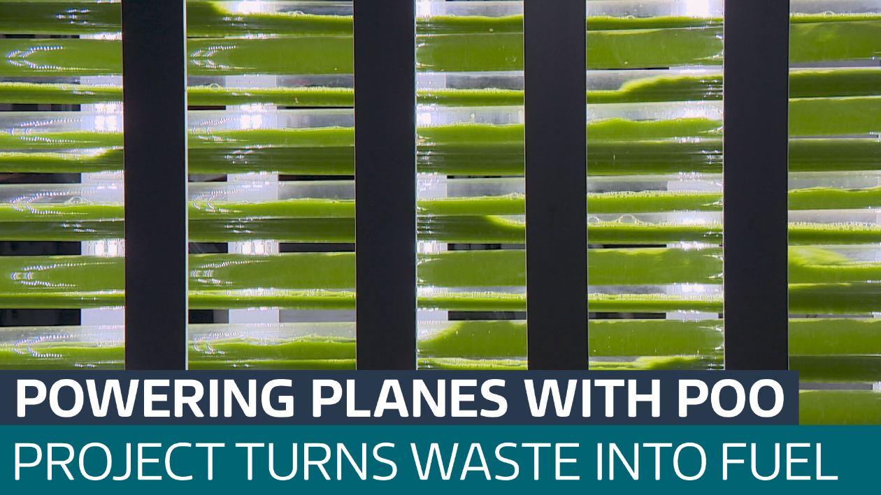 How a green machine is turning human poo into fuel for planes - Latest ...