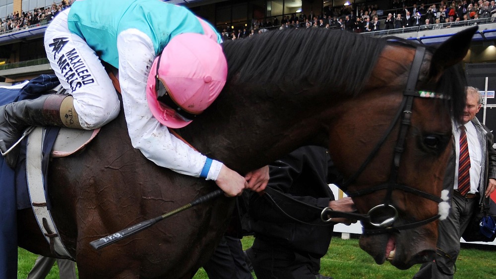 Frankel: The 'world's best' racehorse reaches the finish | ITV News