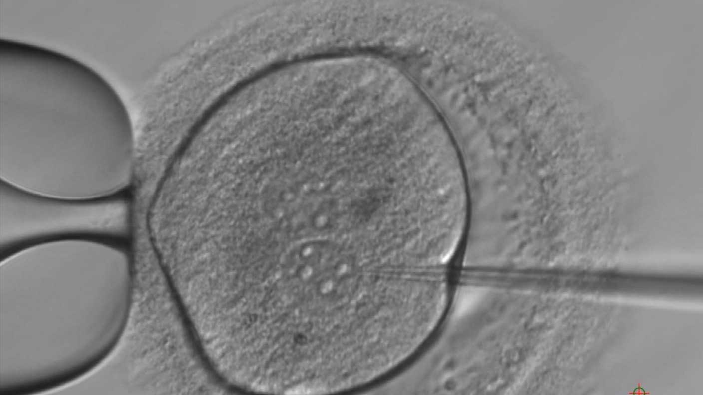 British scientists discover vital role played by fertility 'master gene ...