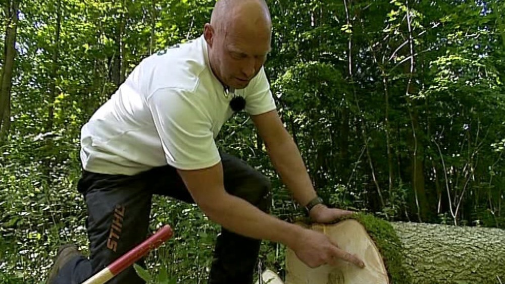 ITV Anglia Denmark news for East of England and Anglia