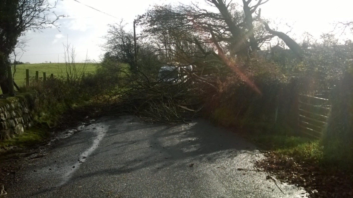 Extent of storm damage revealed by electricity company | ITV News Wales