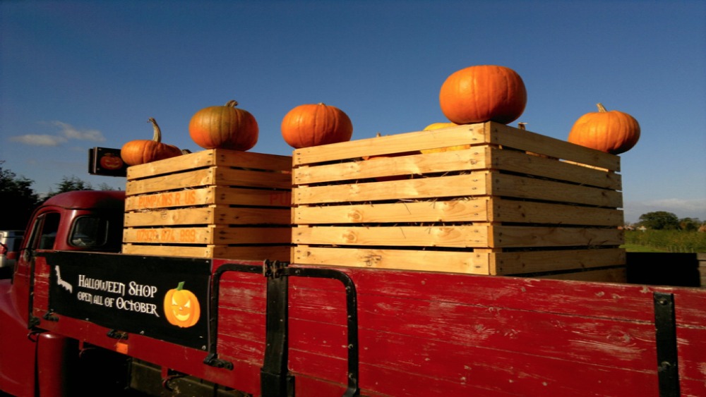 Wet and windy Halloween | ITV News Central