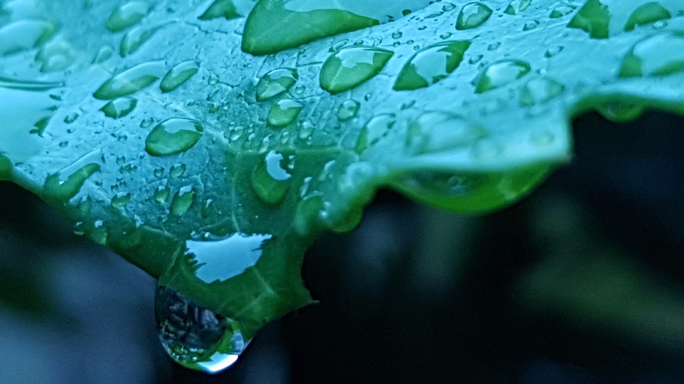 Anglia Weather: Cloudy at times overnight but staying frost free | ITV ...