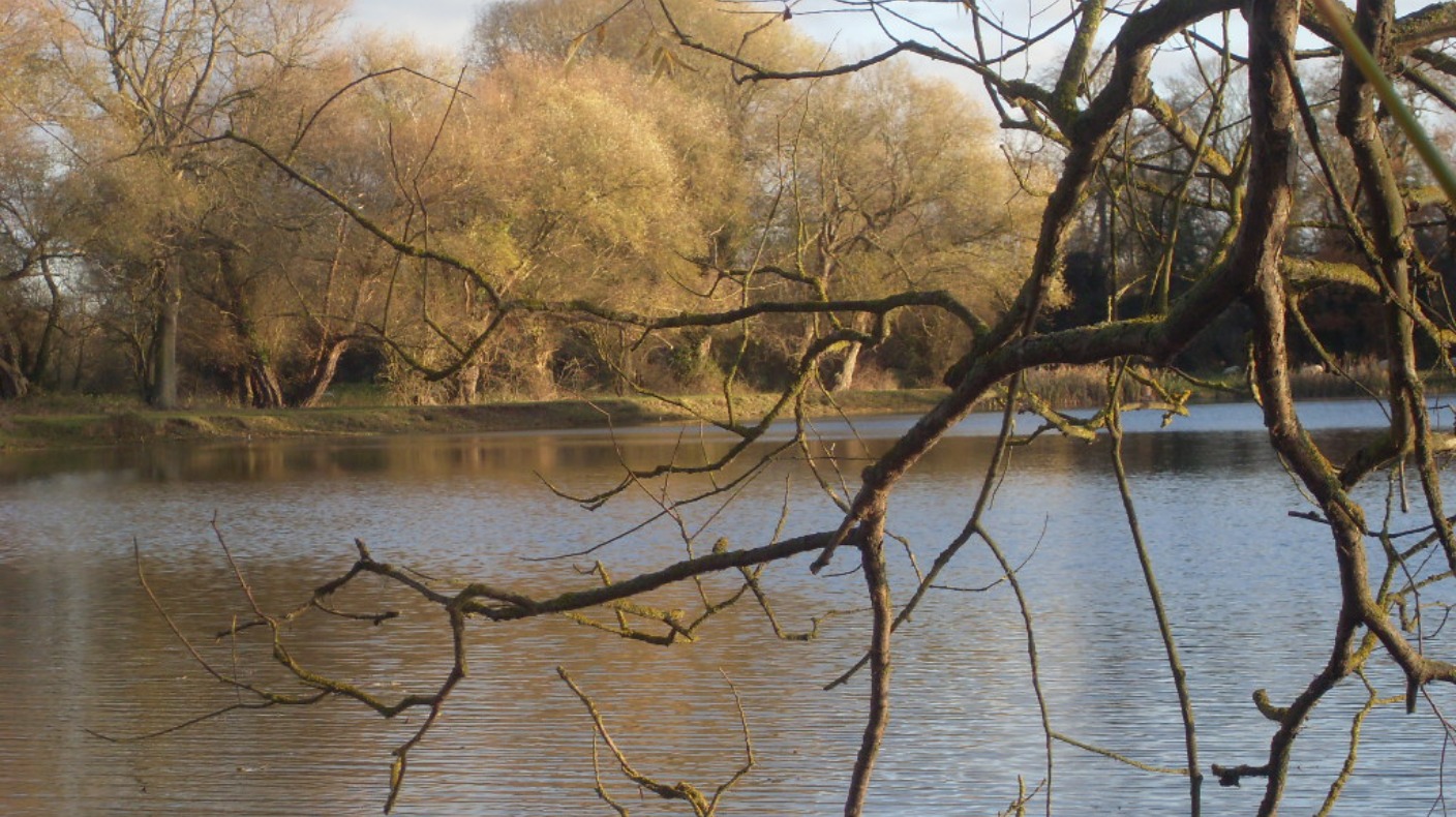 Anglia weather: Patchy light rain then sunny spells, less cold | ITV ...