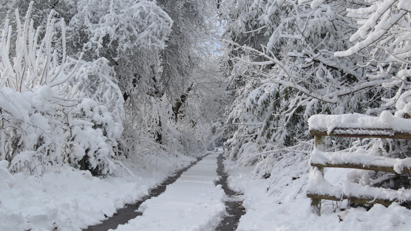 Weather: Your snowy pictures from across the Midlands | ITV News Central