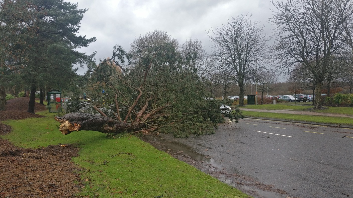 Harsh wind and rain causes disruption in the South | ITV News Meridian