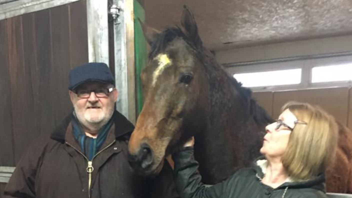 Racehorse to recover from fire that killed her foal | ITV News Wales