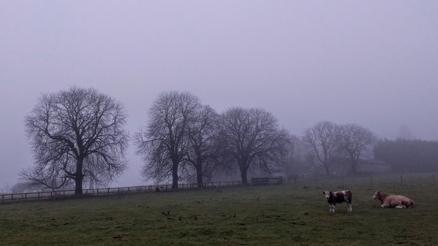 Anglia Weather: Murky overnight with patchy fog forming | ITV News Anglia