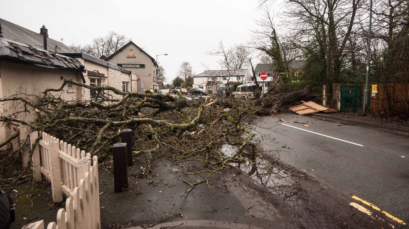 Huge tree falls onto pub, blocking road | ITV News Central