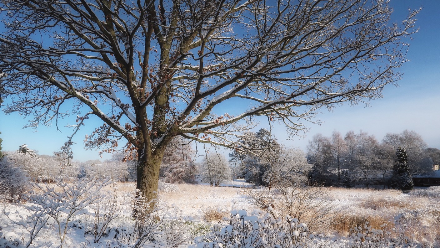 Cold spell continues. Sharp frost overnight | ITV News Granada