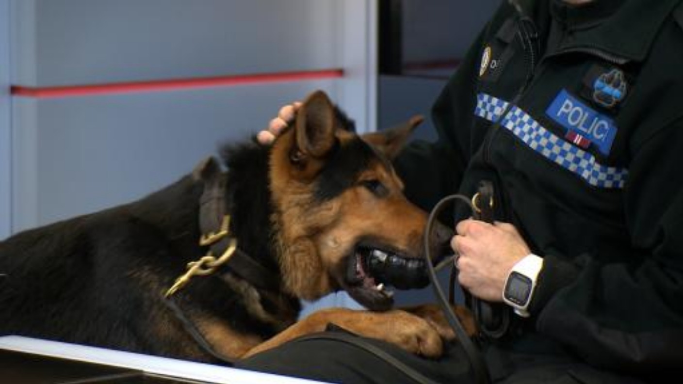 Police dog handler labelled a 'hero' after chase injury | ITV News Central