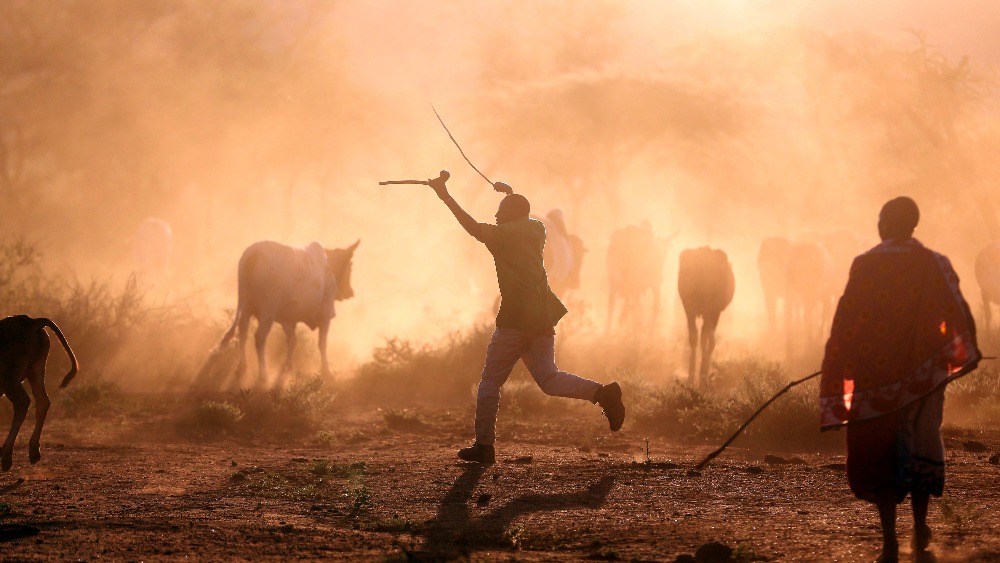 The day in pictures - 24 November 2012 | ITV News