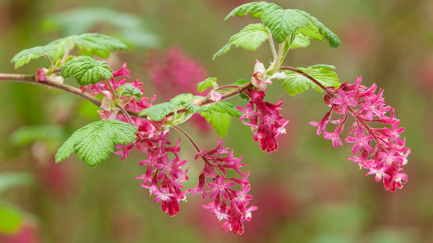 Granada Weather - Weekend update | ITV News Granada