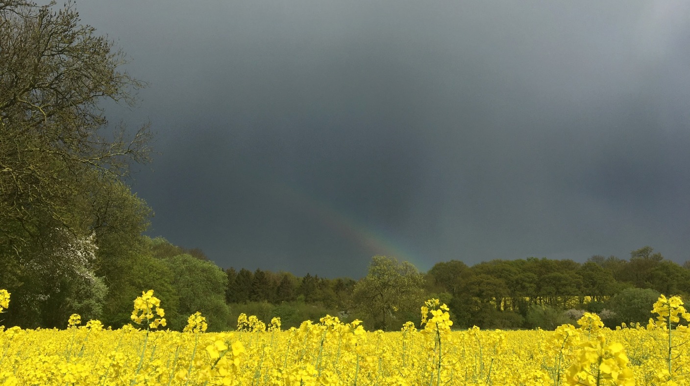 Anglia Weather: dull and cool with outbreaks of rain | ITV News Anglia