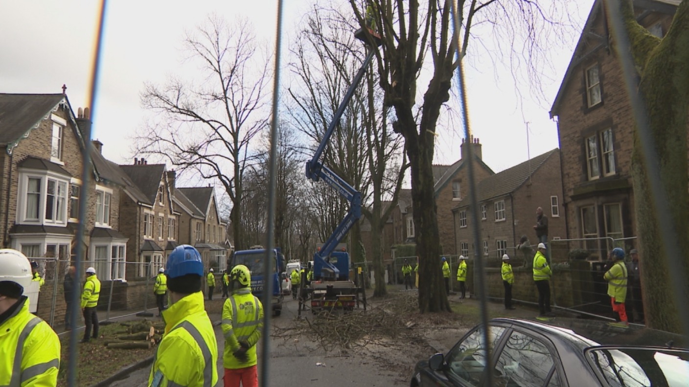 New man in charge calls for 'tree compromise' | ITV News Calendar