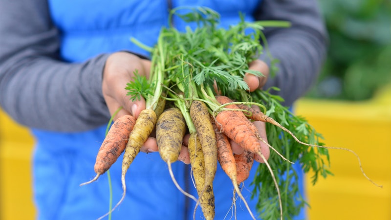 Unloved community sites transformed in ‘greening grey Britain’ scheme ...