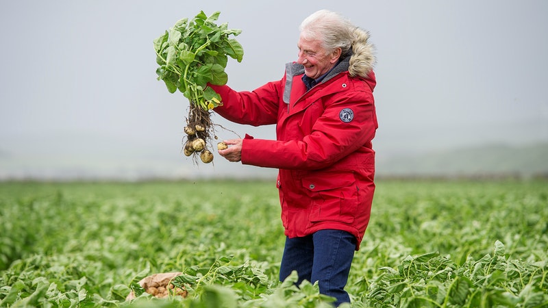 Man makes 1,000-mile trip to pick his favourite potatoes | ITV News
