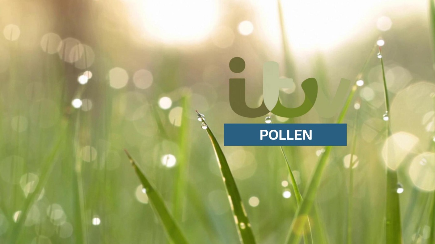 Saturday's Pollen forecast for Cumbria and The Borders | ITV News Border