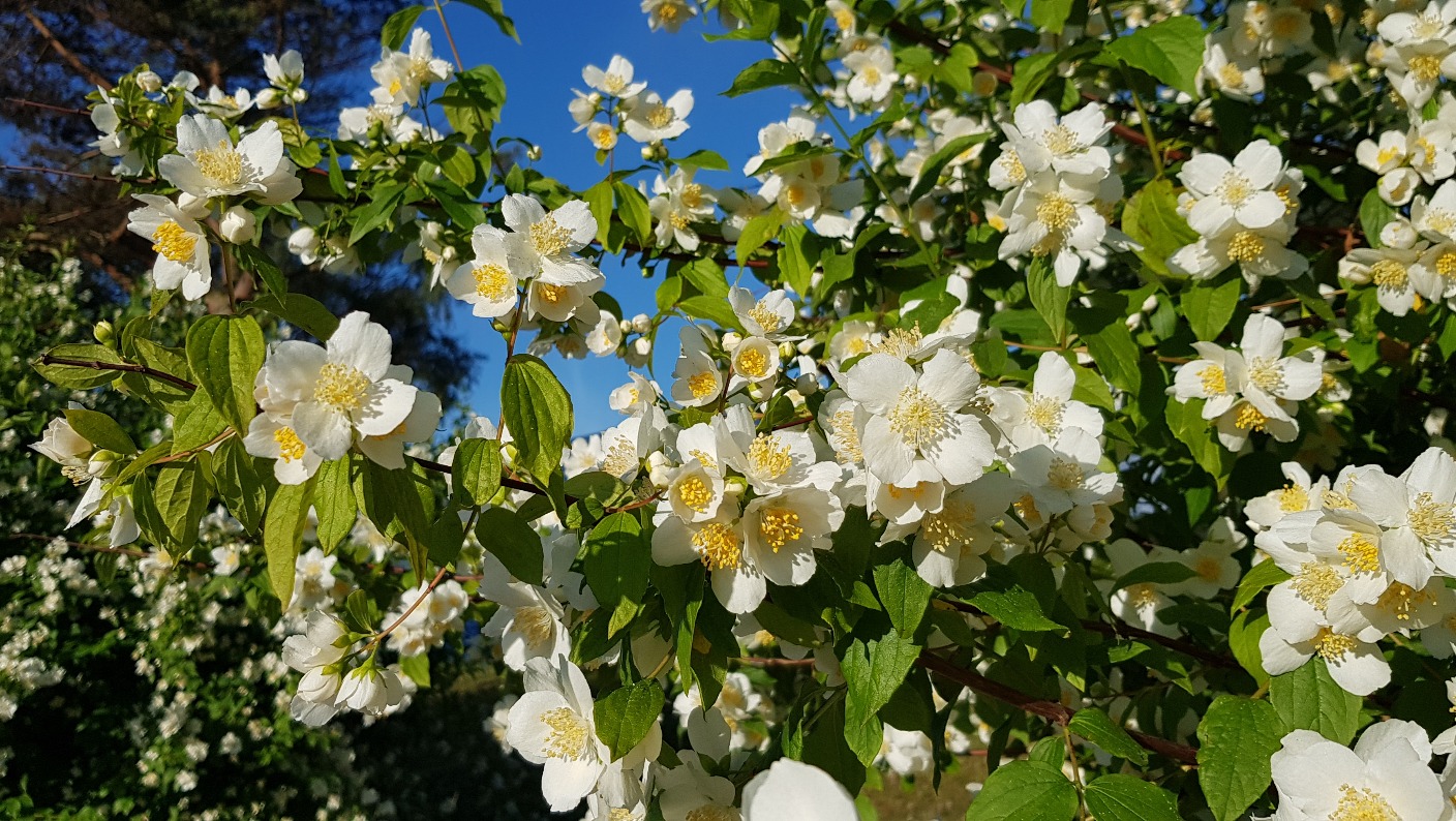 Weather Forecast: Fine weather stays with us | ITV News Border