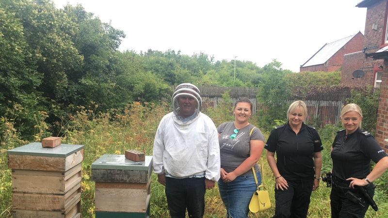 Beekeeper back at work after fundraisers help him replace vandalised ...