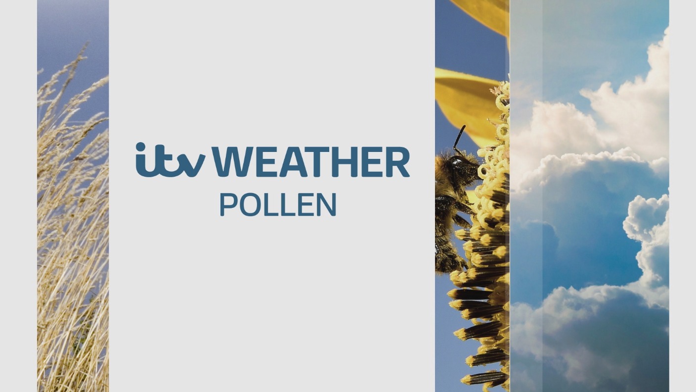 ITV Meridian Pollen Count 2018 news for Oxford, Thames Valley and South ...
