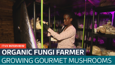 Meet the woman cultivating 21 types of mushroom - Latest From ITV News