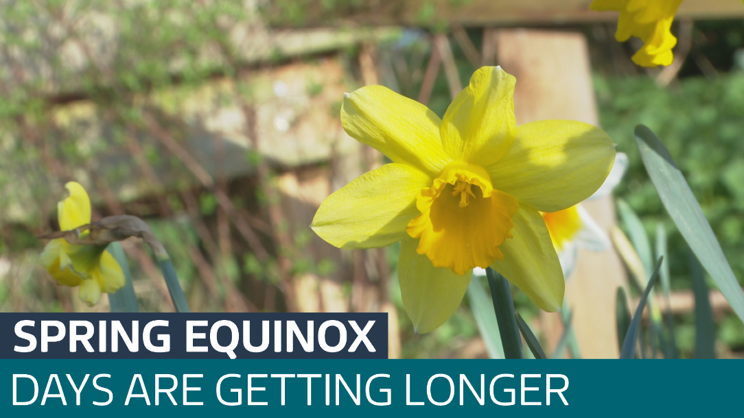 Spring Equinox brings signs of changing seasons - Latest From ITV News